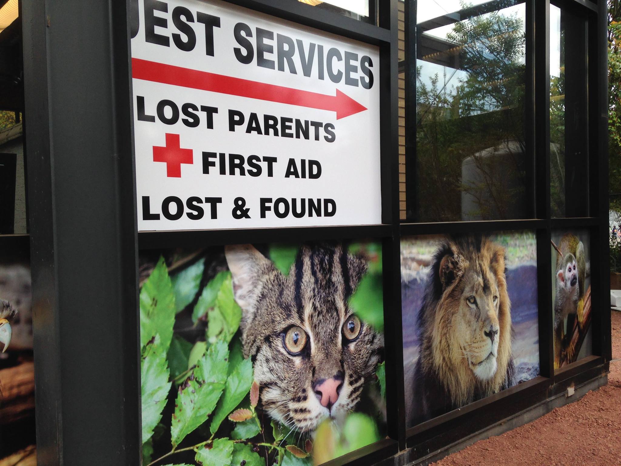 12080124_751375941640909_4655142453172347786_o | Next Level Graphics